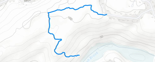 Saltonstall Blue Trail Multi Trail - Branford, CT