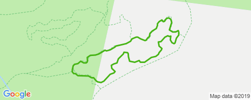 Kathleen Mountain Biking Trail - Maple Valley, Washington