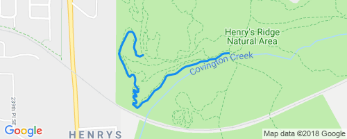 Upper Beaver Tracks Mountain Biking Trail - Maple Valley