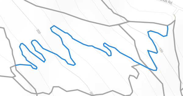 Wiggly Track Mountain Biking Trail - Launceston