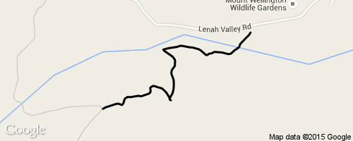 Lenah Valley Fire Trail Mountain Biking Trail - Hobart