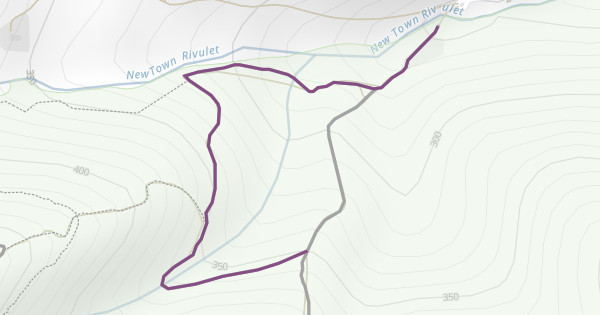 Lenah Valley Fire Trail Mountain Biking Trail - Hobart