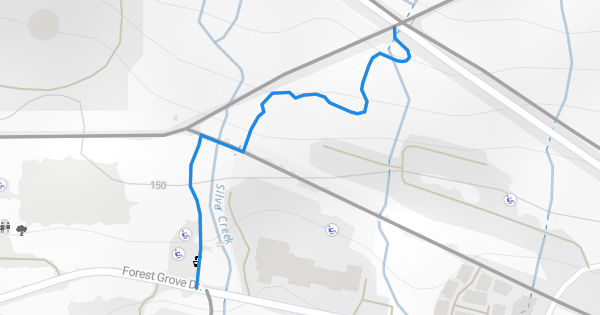 Forest Grove Trail Mountain Biking Trail - Burnaby