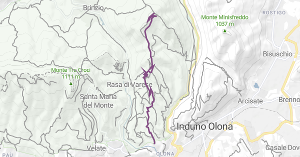 Salita al Monte Martica Multi Trail - Varese