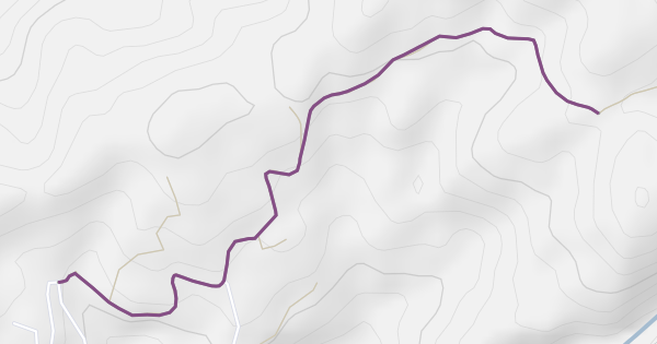 Lyons Dam Forest Drop Multi Trail - sierra village