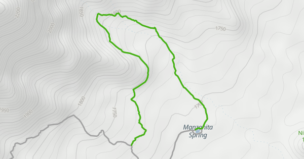 Smith Spring Trail Hiking Trail - Pine Springs, Texas