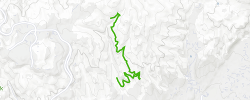 Longview Multi Trail - Corner Canyon, Draper, Utah