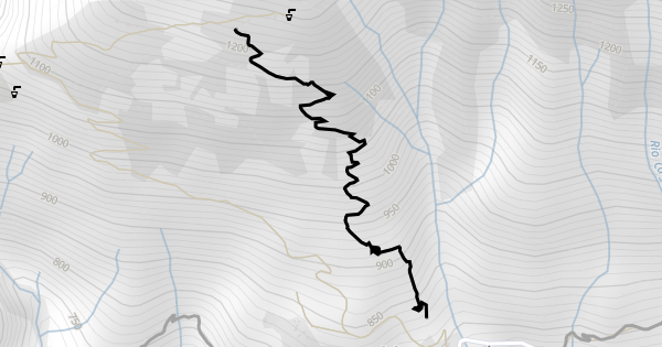 Alpe Reso single track Mountain Biking Trail
