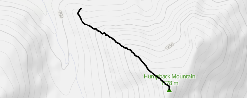 Humpback Mountain Hiking Trail - North Bend, WA