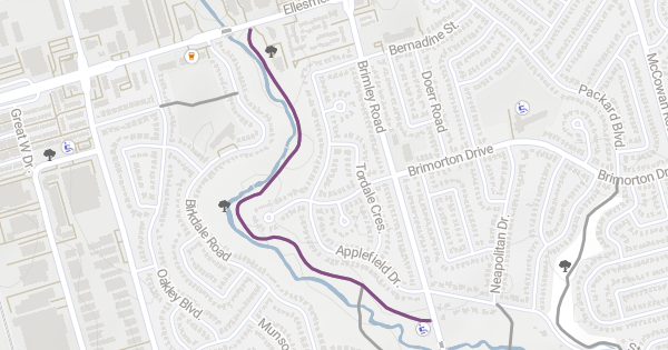 Birkdale Ravine Trail Multi Trail - Toronto, Ontario