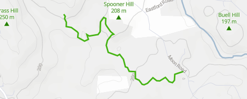 Natchaug Trail - Northern Trailhead to Moon Rd Hiking Trail - Ashford, CT