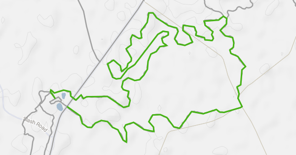Wambaw Cycle Trail 11 Multi Trail - Moncks Corner, SC