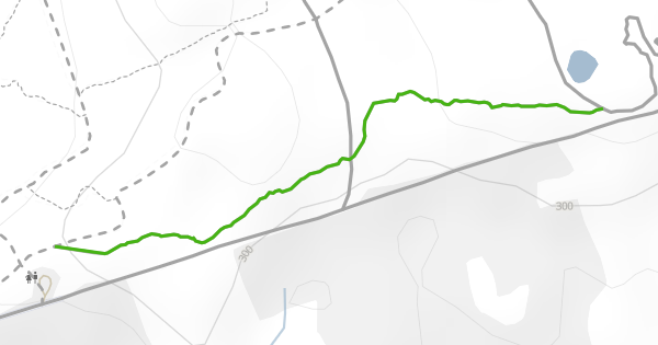 Quadruple Bypass Horseback Trail - Port Hope, Ontario