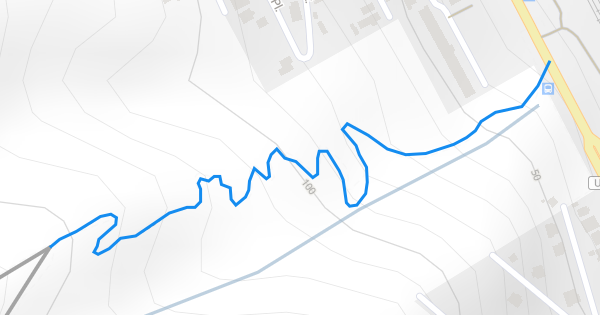 Linnton Park Trail Multi Trail - Portland, Oregon