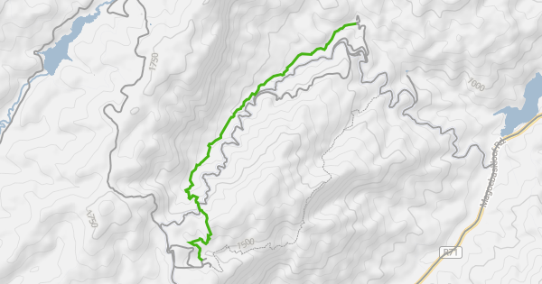 Magoebaskloof Hiking Trail route 1 Hiking Trail - Tzaneen