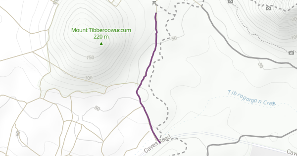 Trachyte Circuit Access Road Mountain Biking Trail - Beerburrum