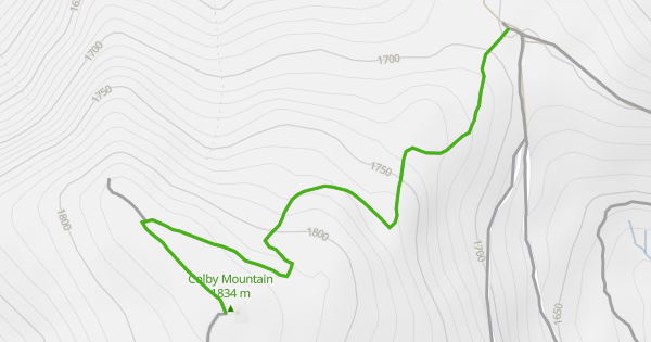 Colby Mt. Trail Mountain Biking Trail - Jonesville