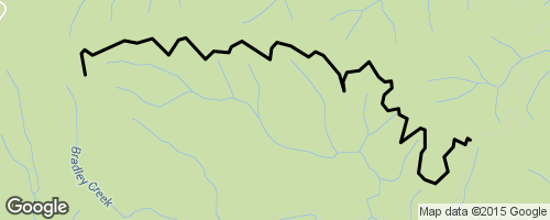Laurel Mountain Multi Trail - Mills River, North Carolina