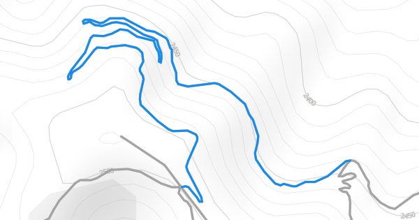 Wild Rose Mountain Biking Trail - Steamboat Springs