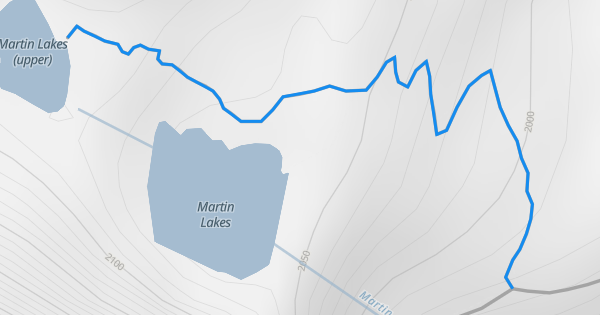 Martin Lakes Trail Multi Trail - Twisp, Washington