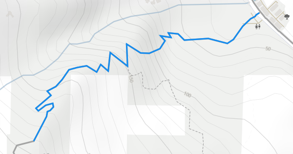Big Tree Ridge Trail Hiking Trail - Newcastle, Washington