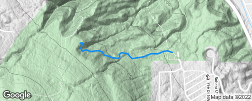 Military Ridge Trail Hiking Trail - Newcastle, Washington