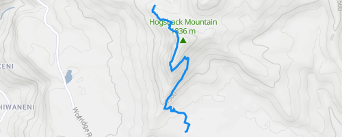 Hiking Trail Hiking Trail - Hogsback | Trailforks