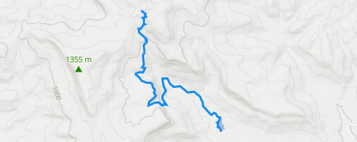 Amatola Hiking Trail - Maden Dam to Gwiligwili Hut Hiking Trail - Hogsback