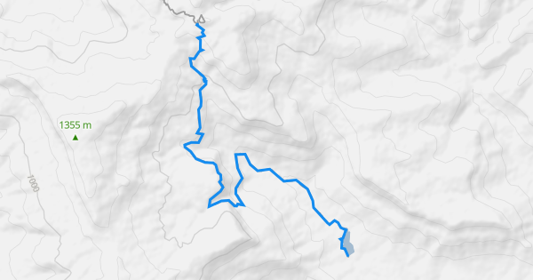 Amatola Hiking Trail - Maden Dam to Gwiligwili Hut Hiking Trail - Hogsback