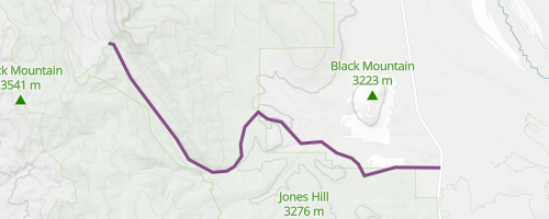 Weston Pass Mountain Biking Trail - Buena Vista, CO