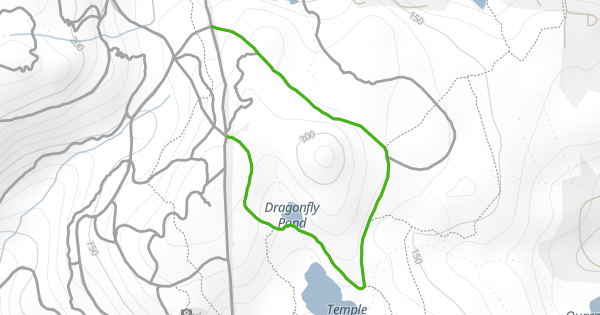 Temple Pond Loop Multi Trail - Snohomish, Washington