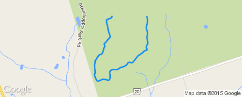 Eastern Bluebird Trail Mountain Biking Trail - Clarington