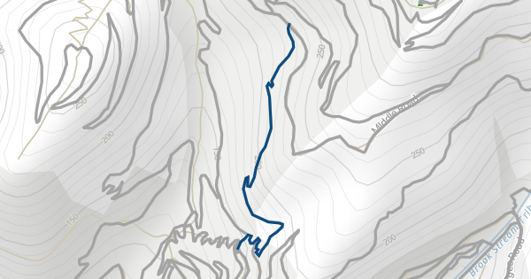 Jacks Track (lower) Multi Trail - Codgers, Nelson