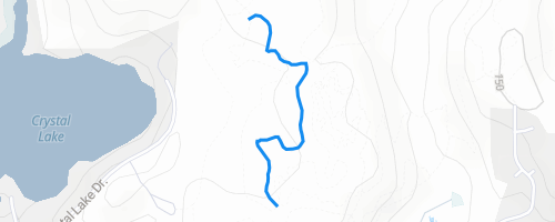 Two Trees Mountain Biking Trail - Maltby, Washington