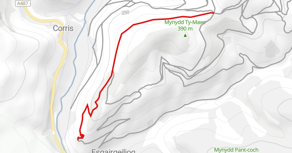 Tony the Tiger Mountain Biking Trail - Machynlleth