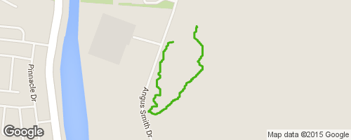 Fruit Loop Mountain Biking Trail - Townsville