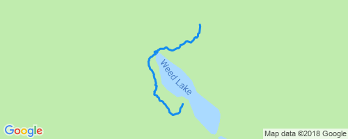 Weed Lake Trail Mountain Biking Trail - Swan Lake, MT