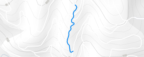 Dual Track Mountain Biking Trail - Pietermaritzburg