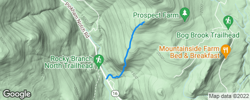 Halls Ledge Trail Hiking Trail - Pinkham Notch, NH