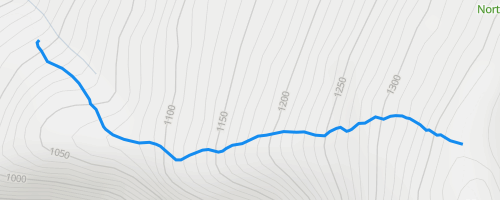North Carter Trail Hiking Trail - Pinkham Notch, NH