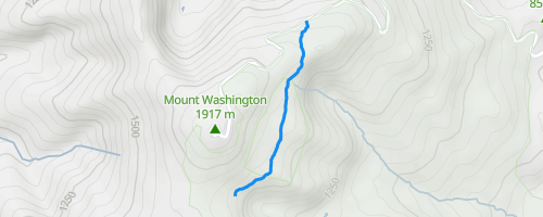 Alpine Garden Trail Hiking Trail - Pinkham Notch, NH