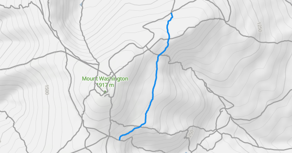 Alpine Garden Trail Hiking Trail - Pinkham Notch, NH