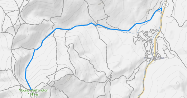 Great Gulf Trail Hiking Trail - Pinkham Notch, NH