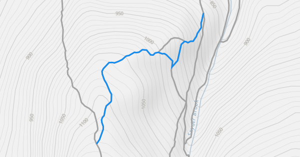 Scar Trail Hiking Trail - - New Hampshire | Trailforks