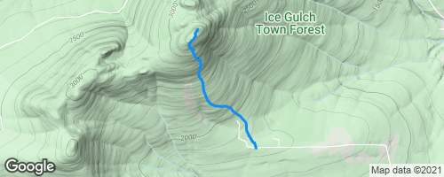 Mount Crescent Trail Hiking Trail - Randolph, NH
