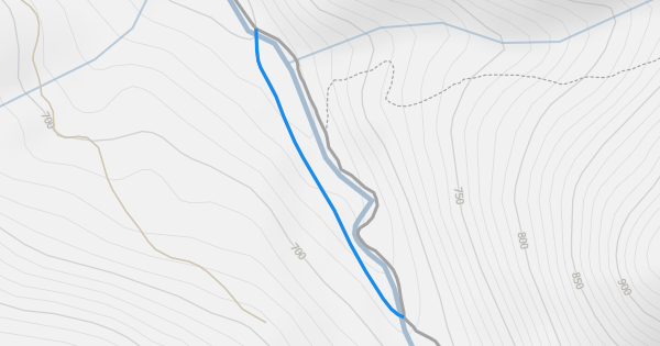 North Twin Trail (With River Crossings) Hiking Trail - Pinkham Notch, NH