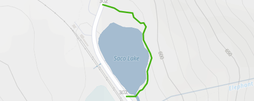 Saco Lake Trail Hiking Trail - Crawford Notch, NH