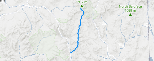 Davis Path Hiking Trail - Bartlett, New Hampshire