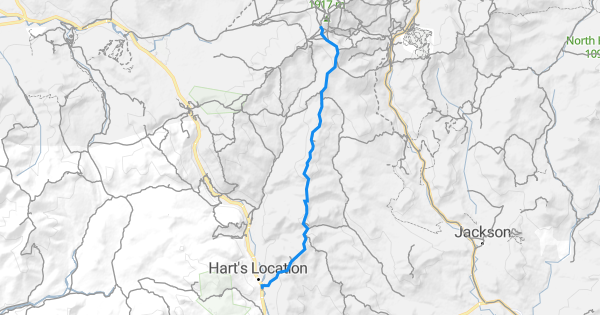 Davis Path Hiking Trail - Bartlett, New Hampshire