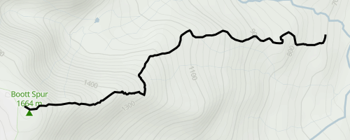 Boott Spur Trail Hiking Trail - Pinkham Notch, NH